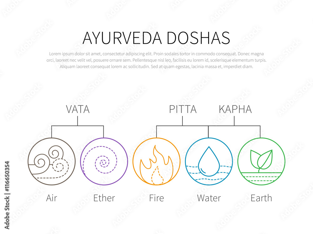 Ayurveda vector illustration doshas vata, pitta, kapha. Ayurvedic body ...