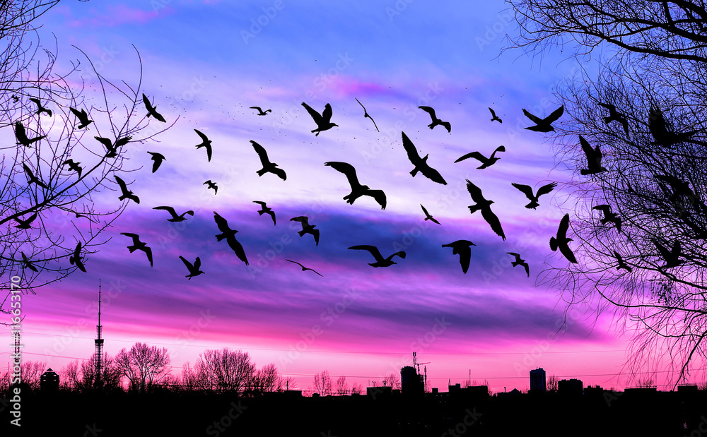 Purple Flying Birds