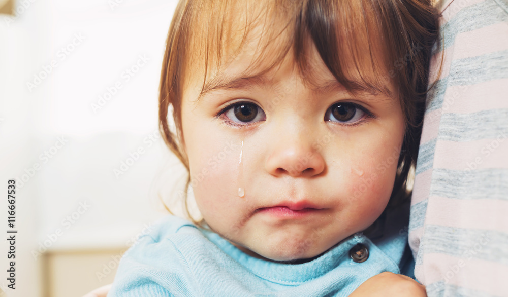 Crying toddler girl Stock Photo | Adobe Stock