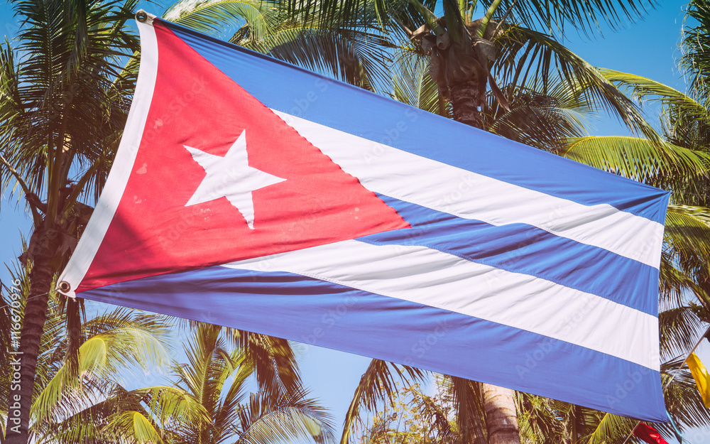 Cuban Flag Among Palm Trees. Cuban flag against a tropical palm tree ...