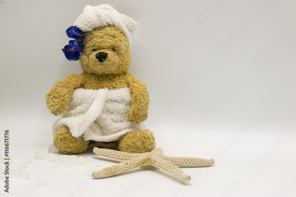 Bear is going to massage in spa Stock 写真 | Adobe Stock