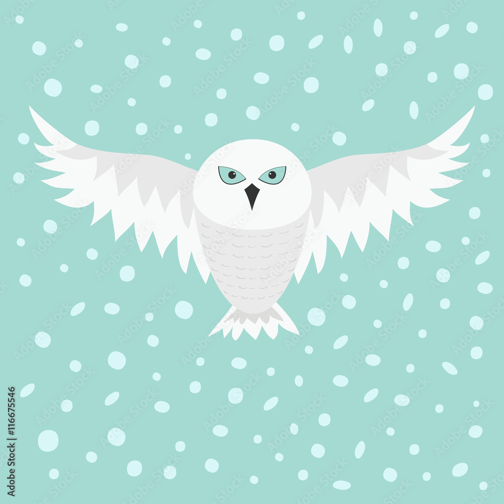 Cute Snowy Owls With Blue Eyes