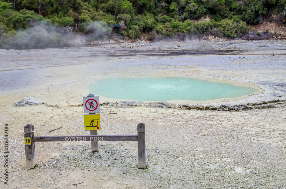 Oyster Pool in Wai-O-Tapu Thermal Wonderland which is located in ...
