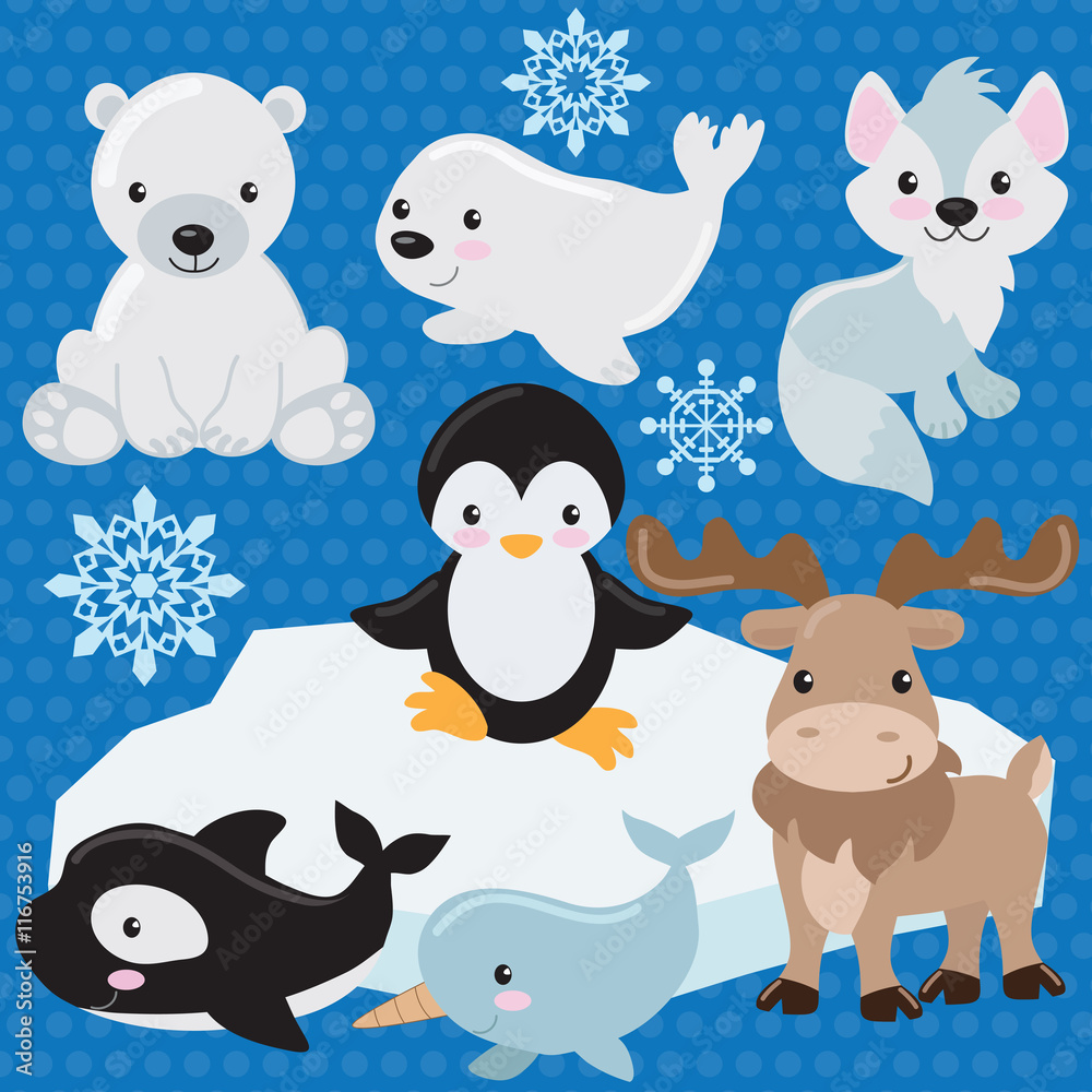 Arctic animal vector illustration Stock Vector | Adobe Stock