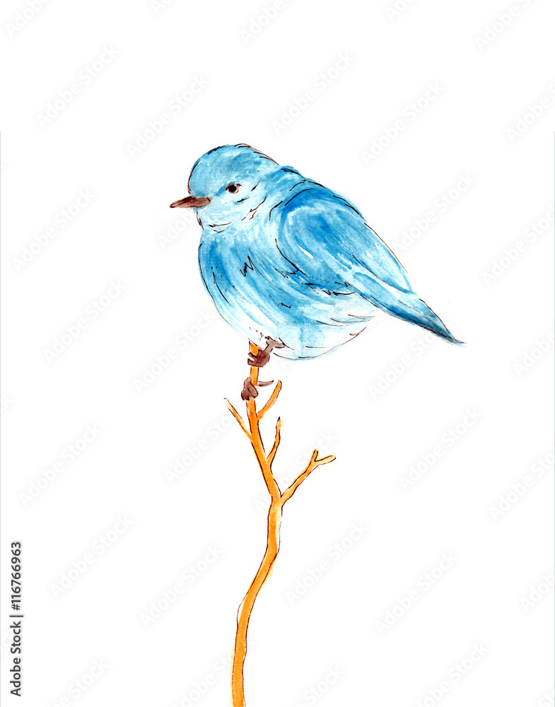 Blue bird watercolor drawing illustration isolated on white background ...