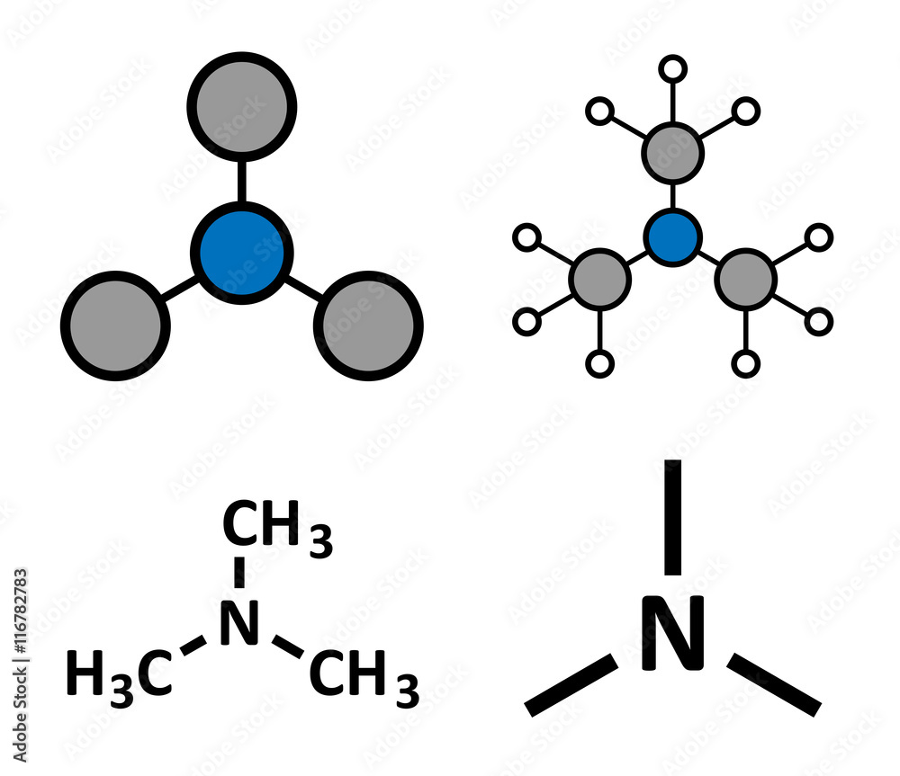 Trimethylamine