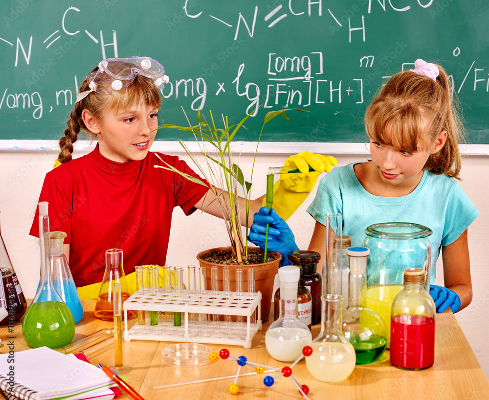 Children holding flask and plant in biology class. Biology lesson in ...