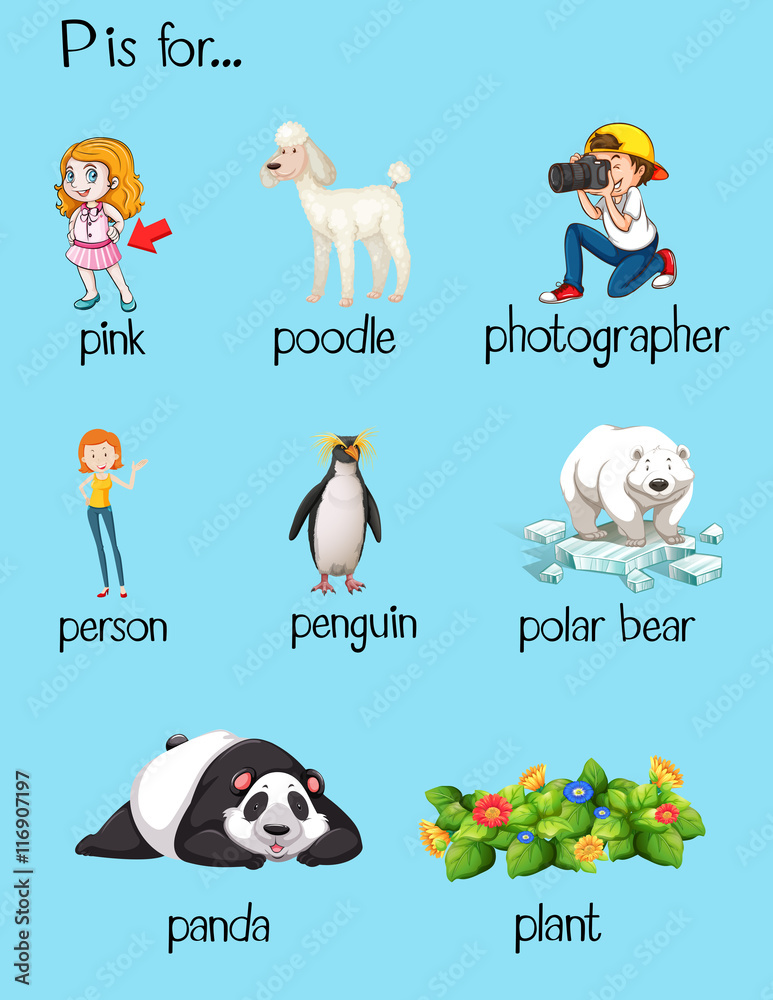 Many words begin with letter P Stock Vector | Adobe Stock