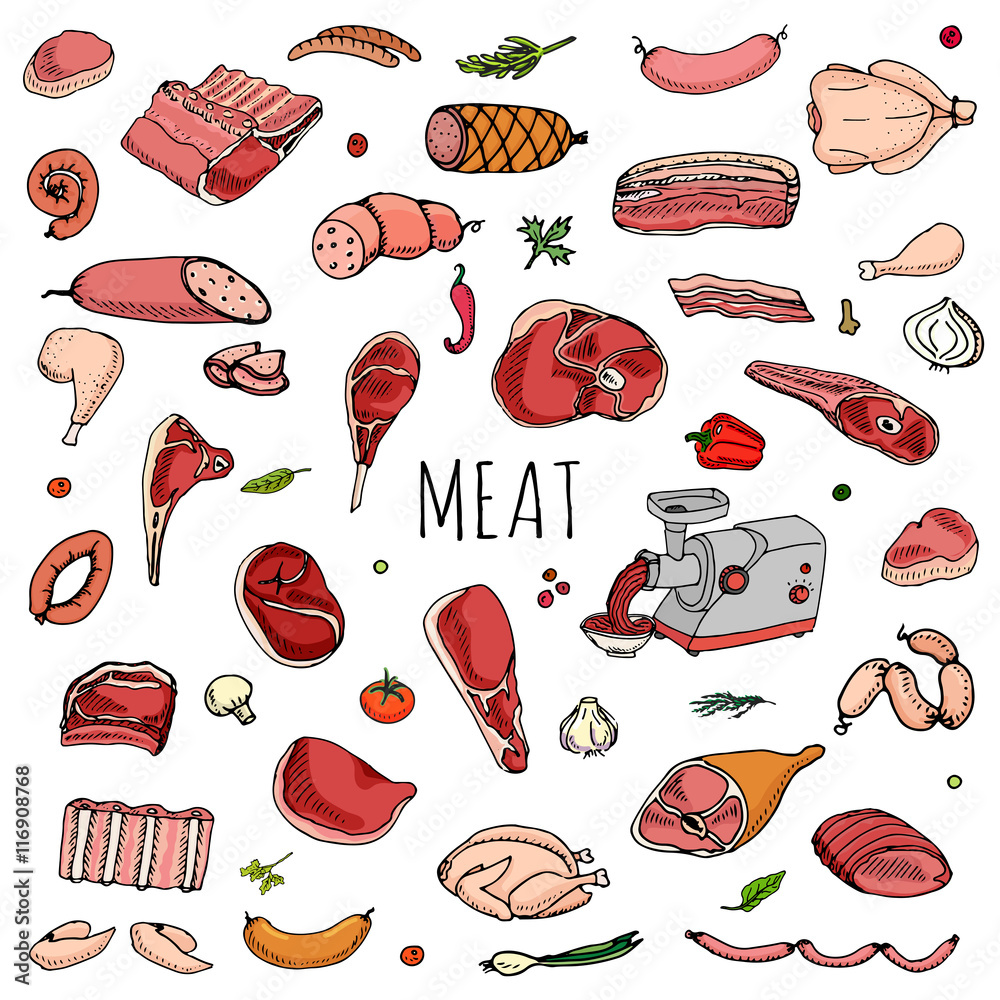 Hand drawn doodle set of cartoon different kind of meat and poultry ...
