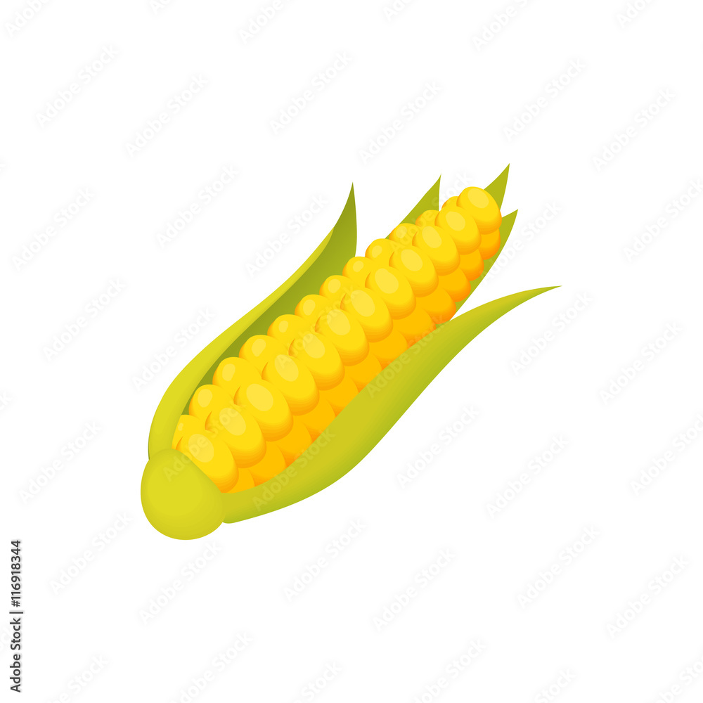 Corn icon in cartoon style isolated on white background. Food symbol ...