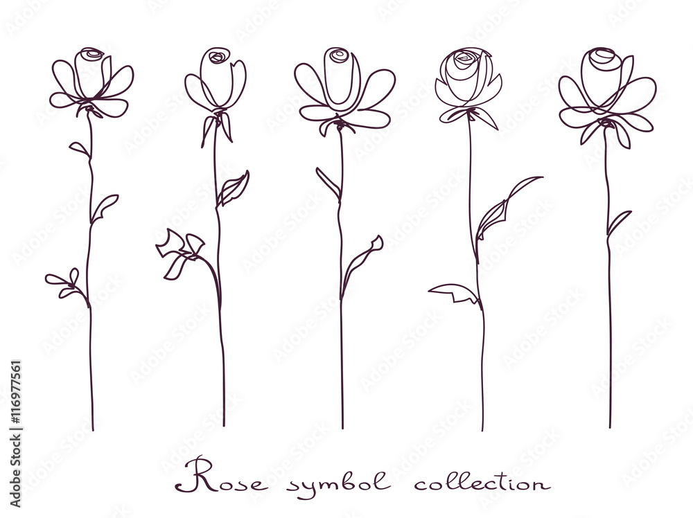 Roses. Collection of isolated rose flower sketch on white background ...
