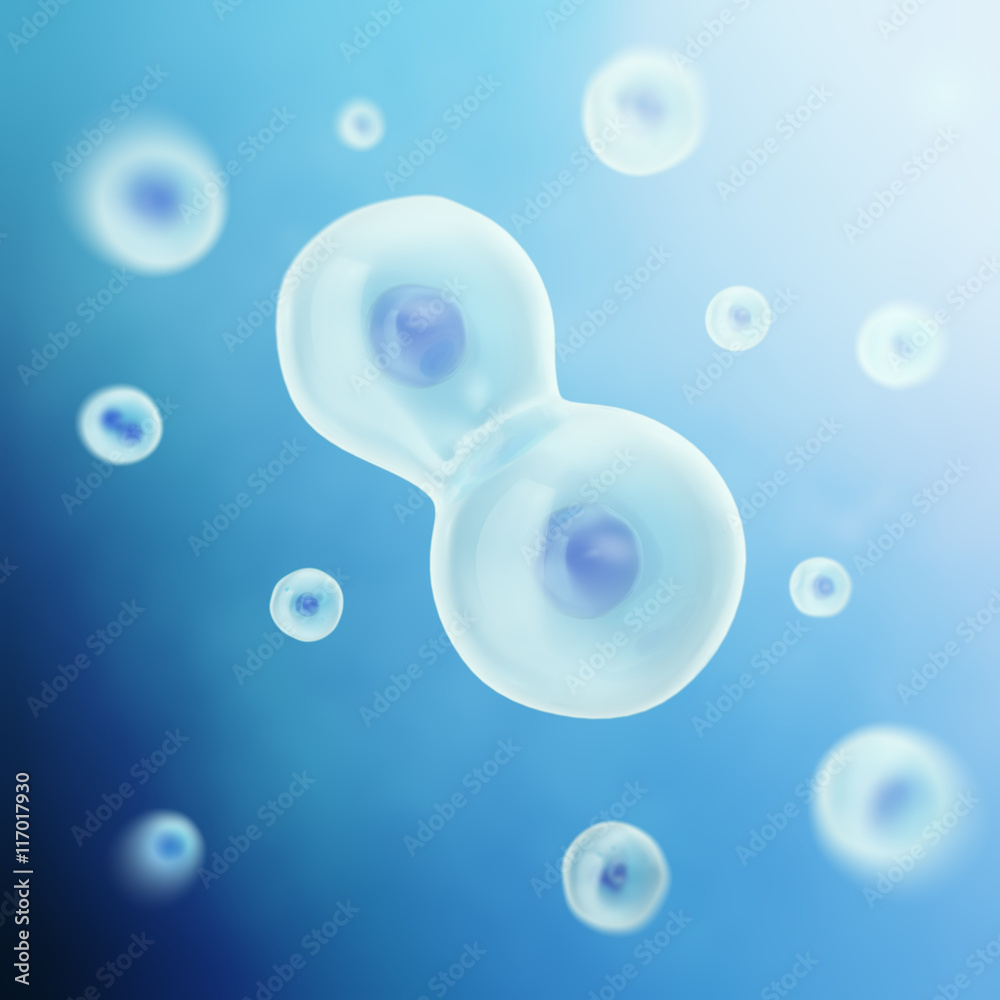 Human cell, animal divides into two cells. Medicine scientific, life ...