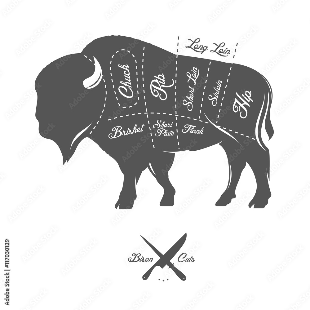 Vintage butcher cuts of bison buffalo scheme diagram Stock Vector ...
