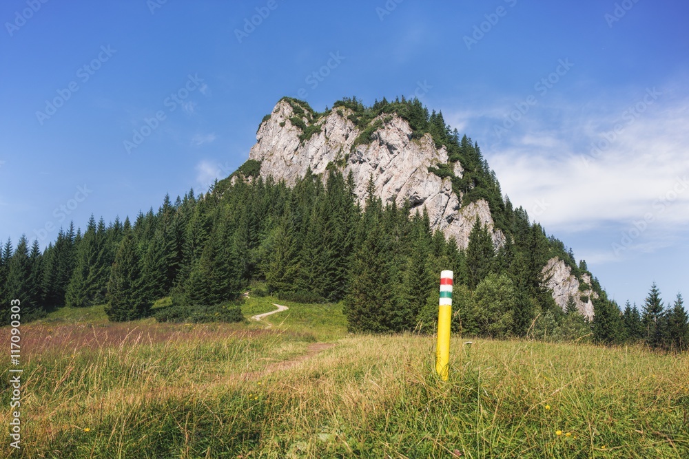 Maly Rozsutec Mountain in Mala Fatra National Park, Slovakia Stock ...