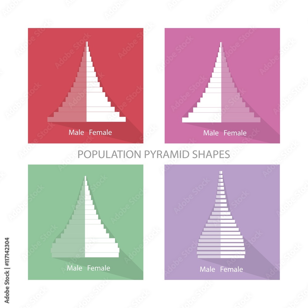 The Different Types of Population Pyramids Graphs Stock Vector | Adobe ...