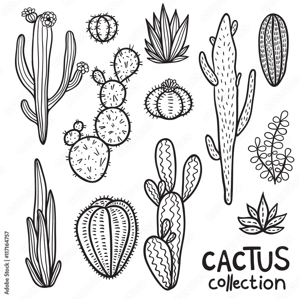 Cacti Hand Drawn Abstract Collection Stock Vector | Adobe Stock