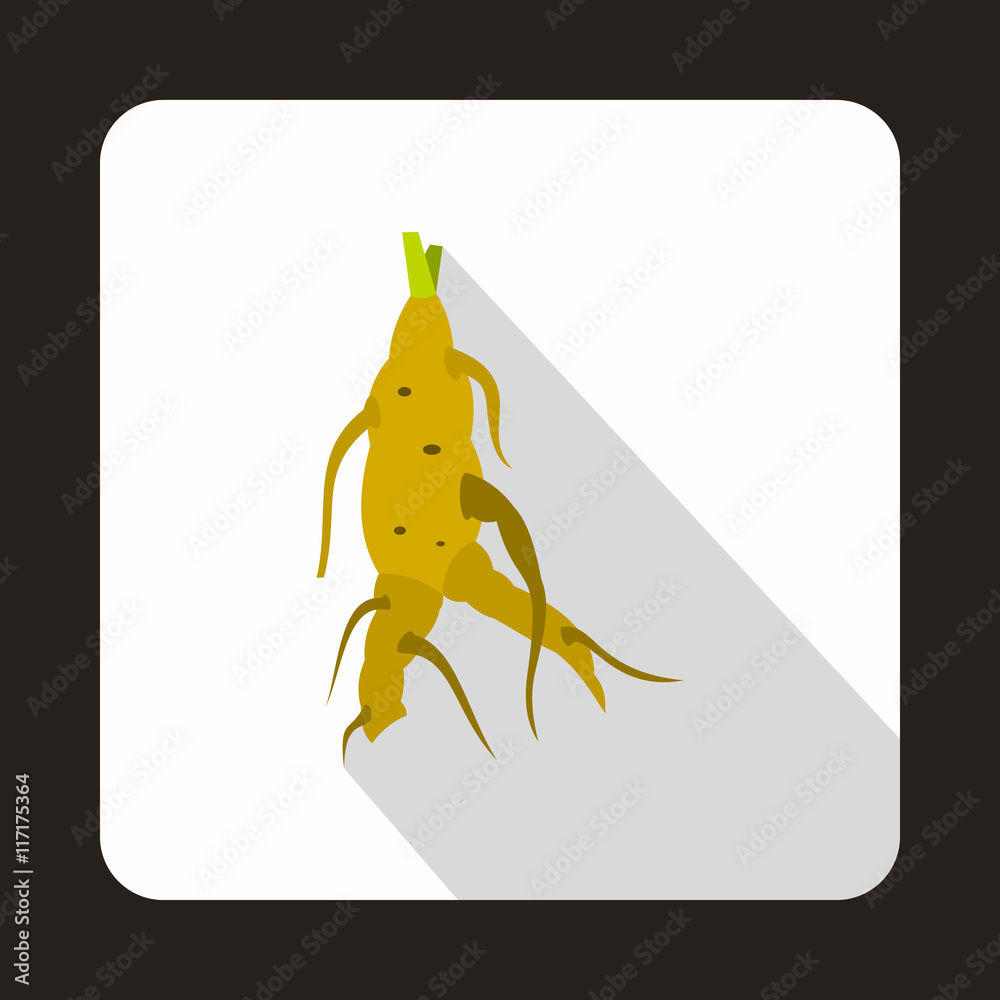 Ginseng rot icon in flat style on a baby whute background Stock ...