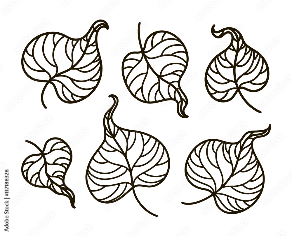 vector, contour illustration, coloring book, set, leaves, summer ...