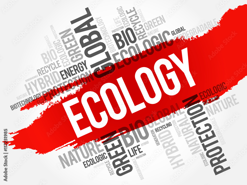 Ecology word cloud, conceptual green ecology background Stock Vector ...