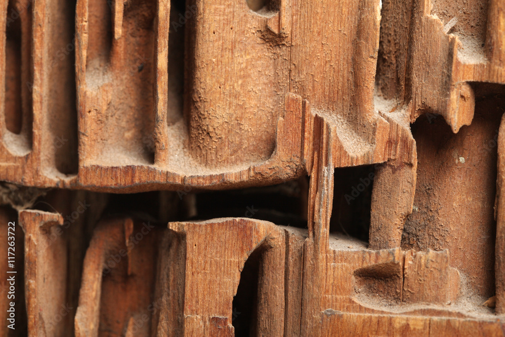 old block cutting wood Stock Photo | Adobe Stock