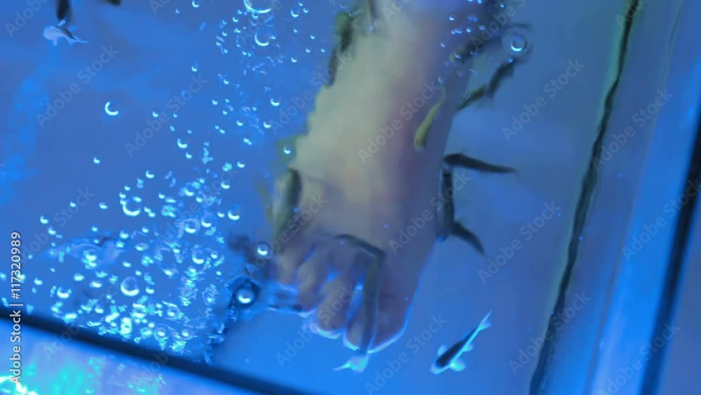 A lady is in a spa getting a fish pedicure. Tiny fish eat the dead skin ...