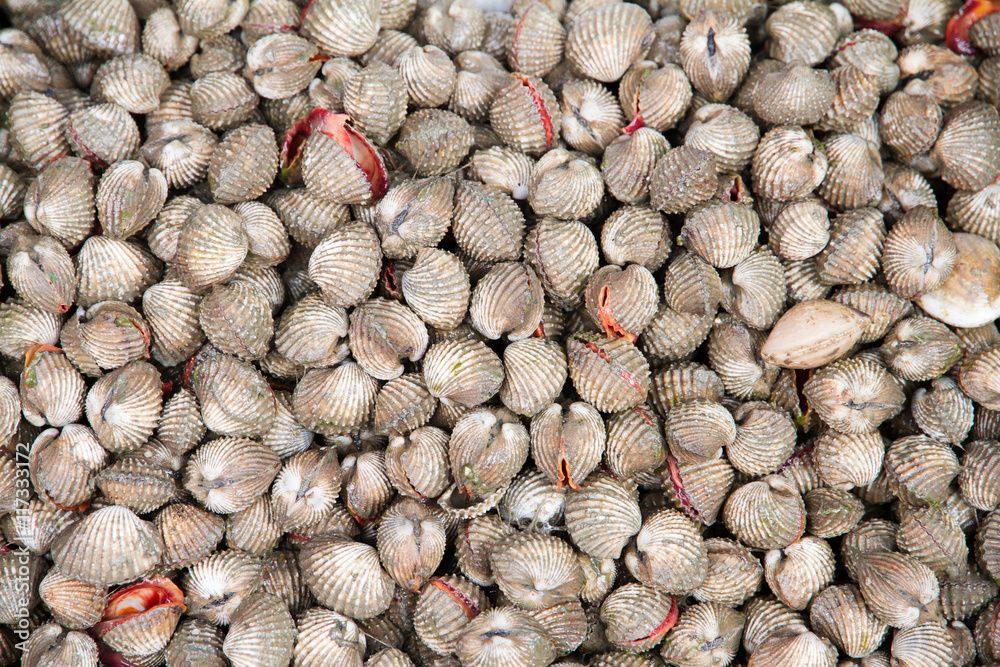Shellfish in fresh market at ferry of Angsila, Choburi, Thailand Stock ...