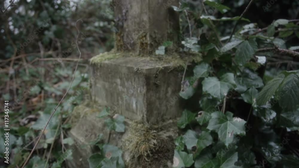 Old forgotten graveyard covered in moss, ivy and weeds. Filmed in an ...