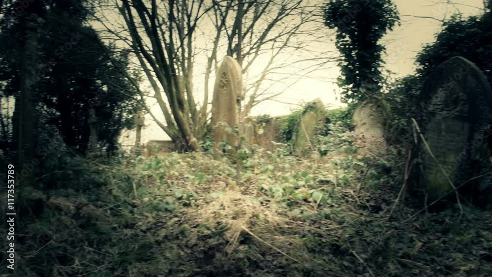 Old forgotten graveyard covered in moss, ivy and weeds. Filmed in an ...