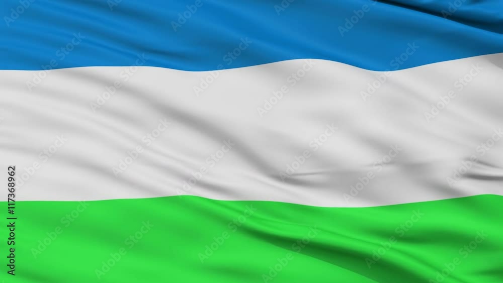Republic of Molossia Micronation Flag, Close Up Realistic 3D Animation ...