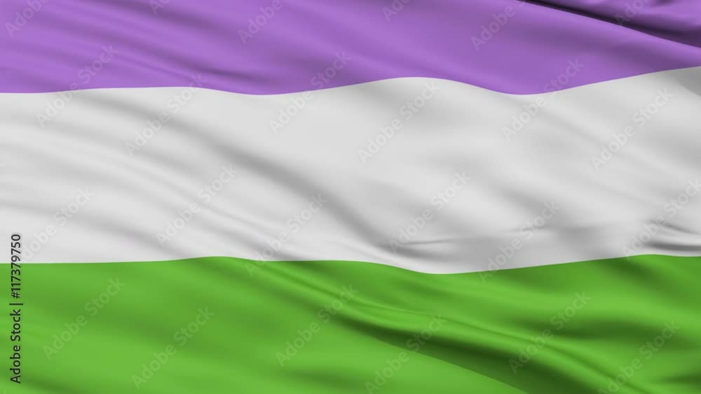 Genderqueer Pride Flag, Close Up Realistic 3D Animation, Seamless Loop ...