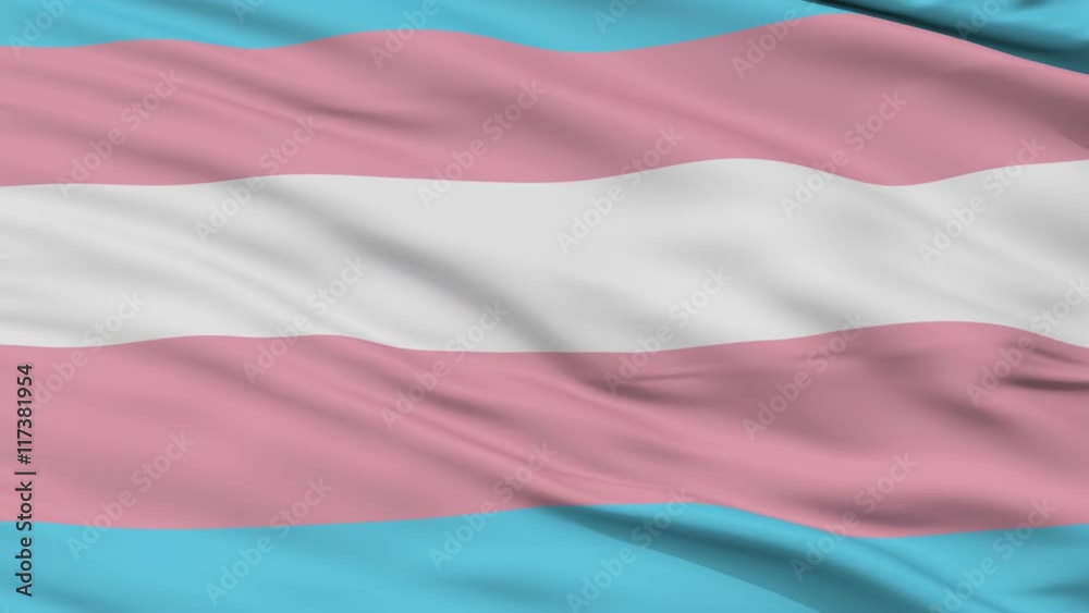 Transgender Pride Flag, Close Up Realistic 3D Animation, Seamless Loop ...