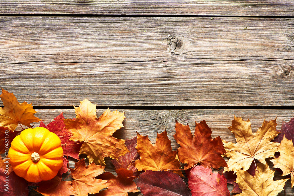 Autumn leaves and pumpkin Stock Photo | Adobe Stock
