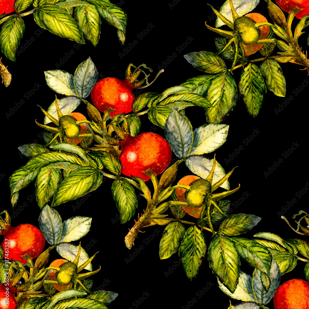 Rosehip seamless pattern on black background, hand painted watercolor ...