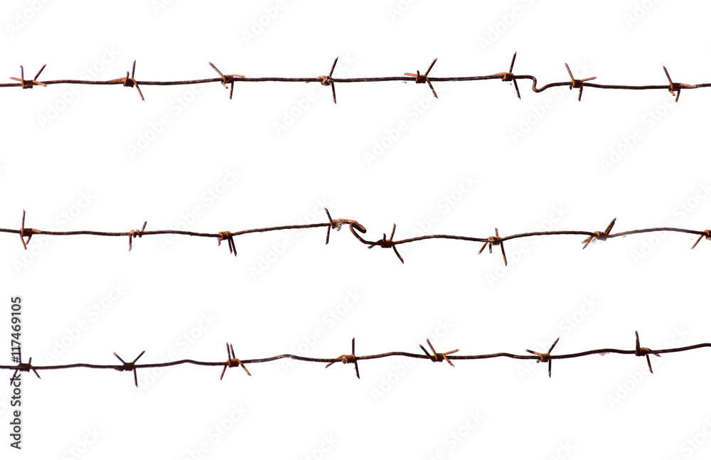 barbed wire on a white background Stock Photo | Adobe Stock