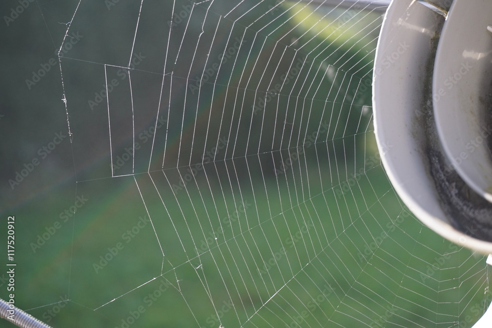 Spinnennetz, Spinnweben, Spinne, Faden, Herbst, Netz, spinnen, Natur ...