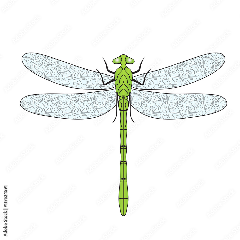 Dragonfly doodle hand drawing style. Vector illustration Stock Vector ...