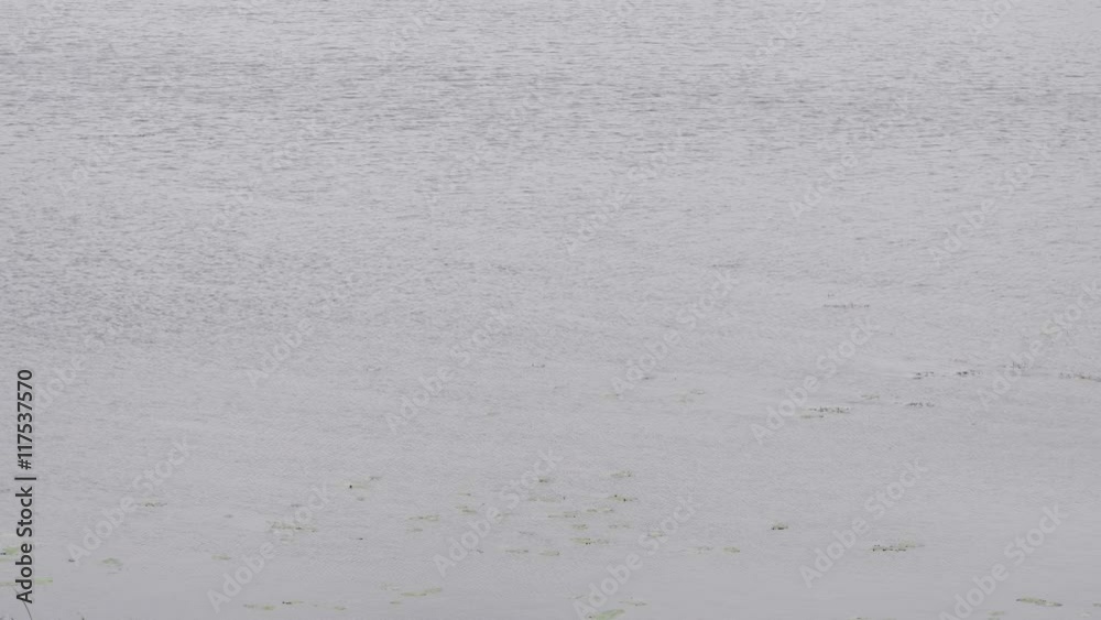 weak rain falling on lake water surface Stock Video | Adobe Stock