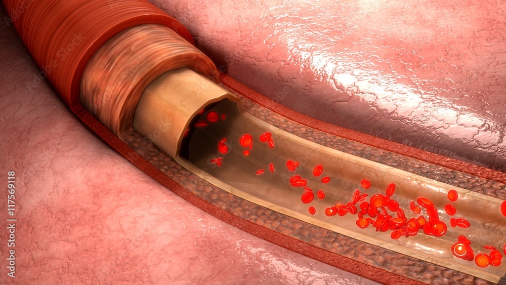 Blood flow in vessels Stock Illustration | Adobe Stock