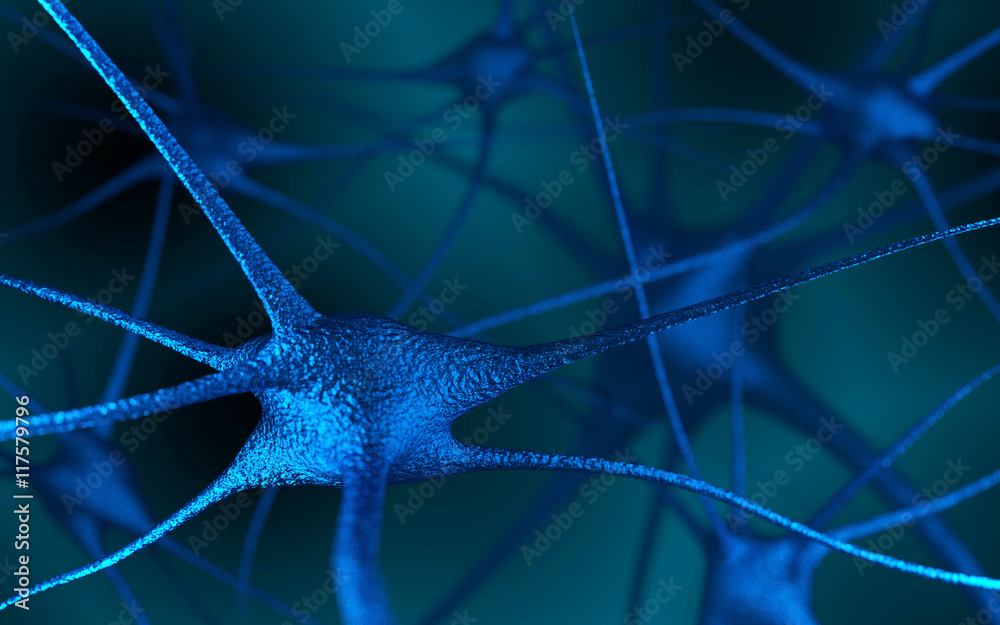Neurons 3d Hd