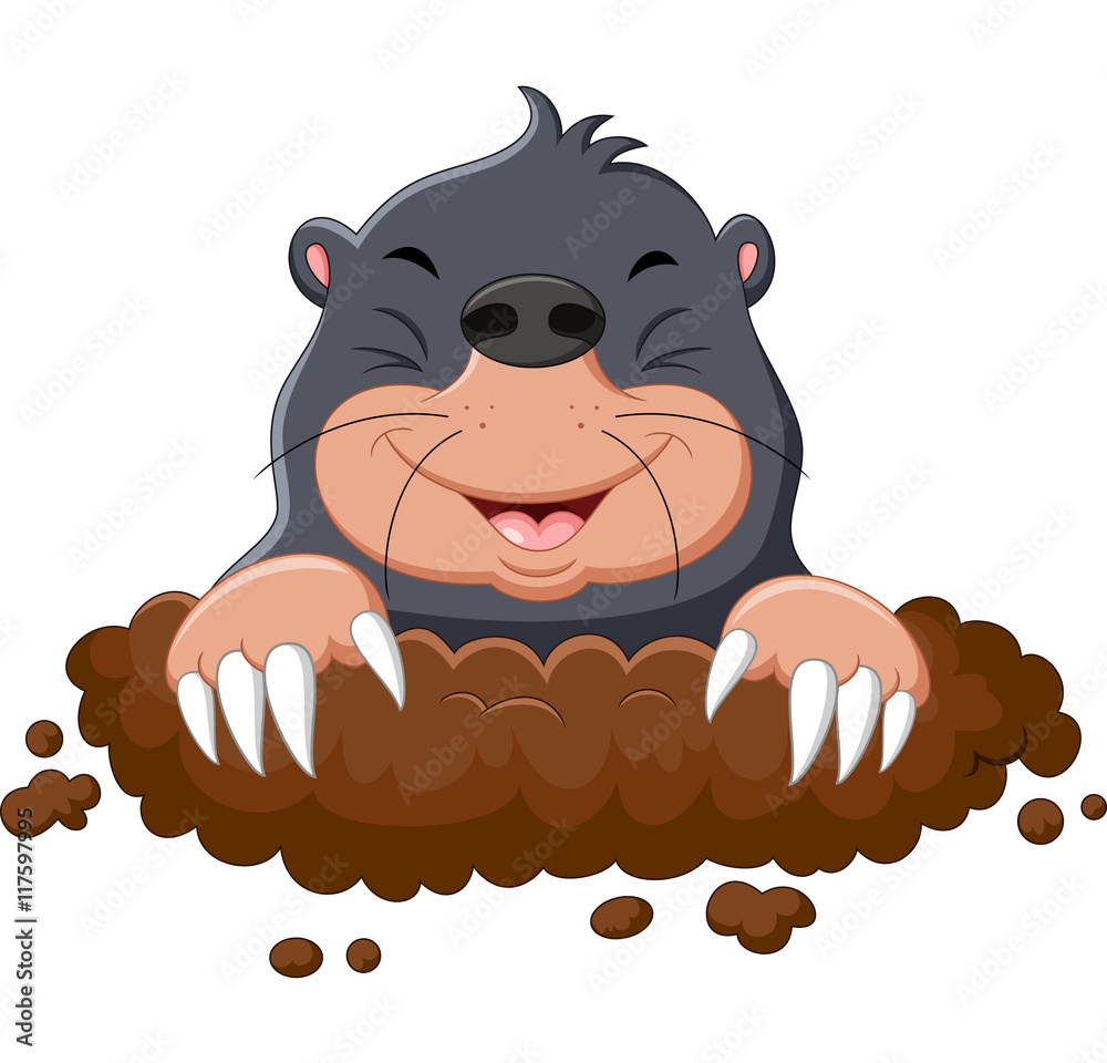 Cartoon cute mole Stock Vector | Adobe Stock