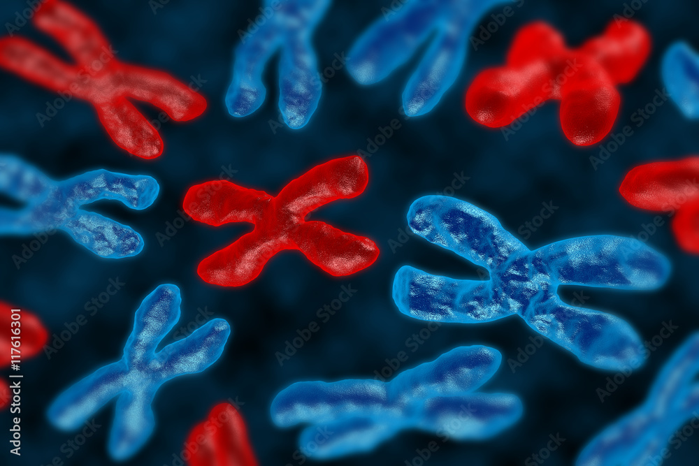 3d render chromosomes group as a concept for a human biology x ...