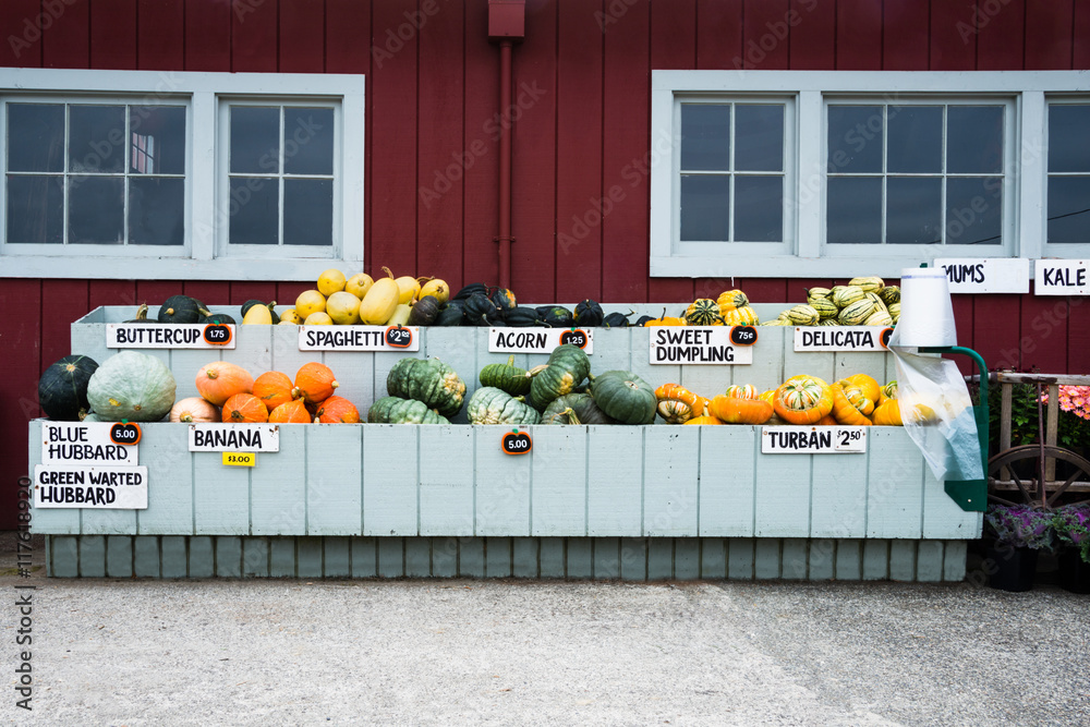 Variety Squash Labeled with Name and Price on Display for Sale at ...