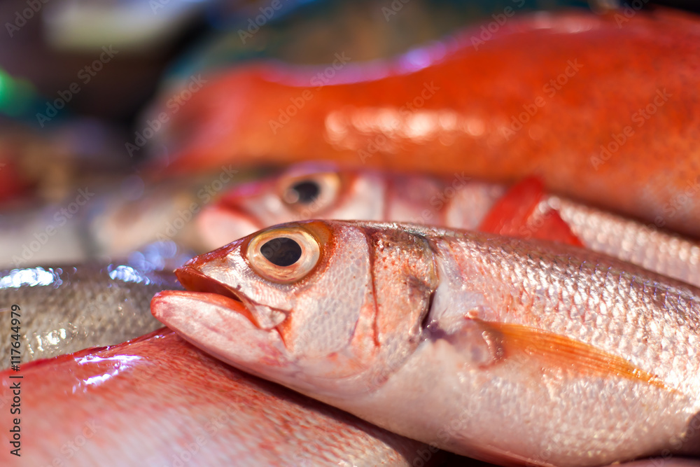 Lapu-lapu, red snapper and tuna, seafood on market foto de Stock ...