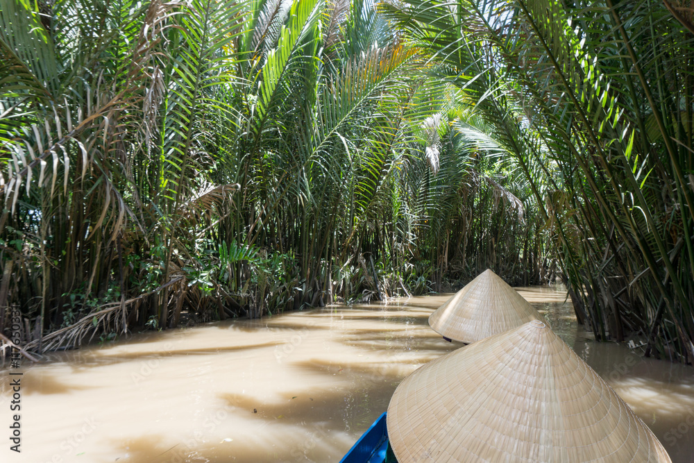 Mekong River Delta jungle cruise in Vietnam Stock Photo | Adobe Stock