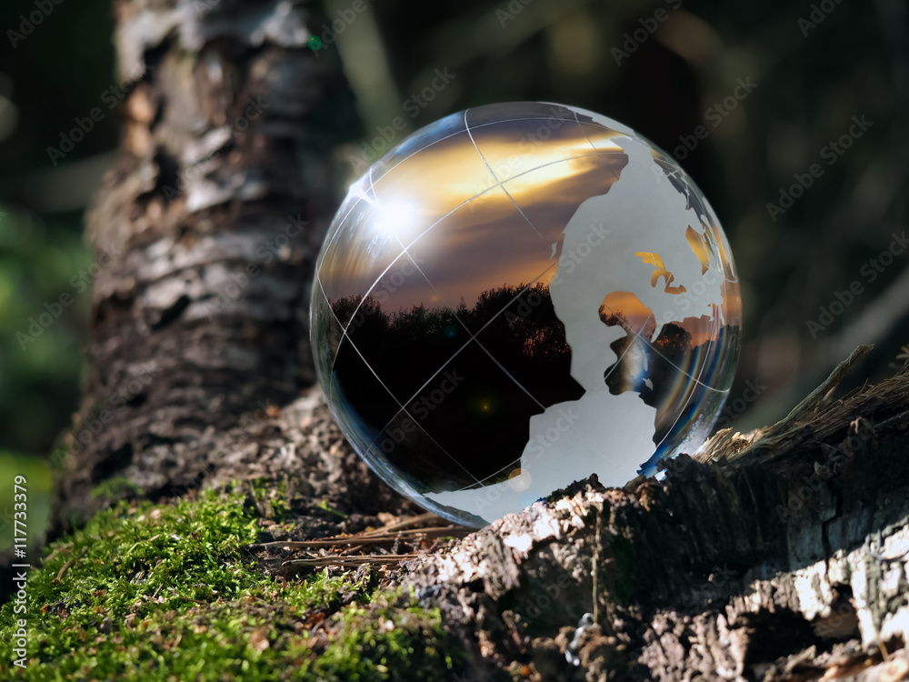 Transparent ball in the green forest. In the field of reflected sunset ...