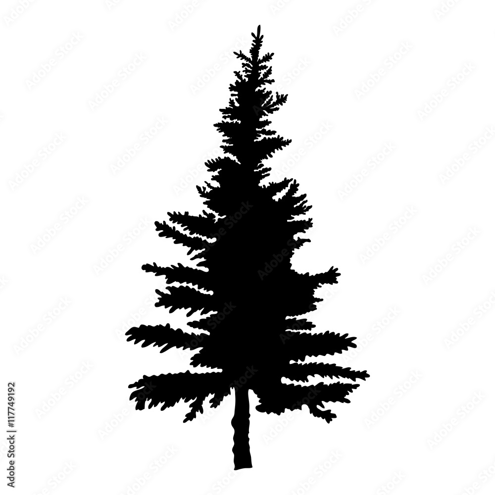 Cedar Tree Silhouette