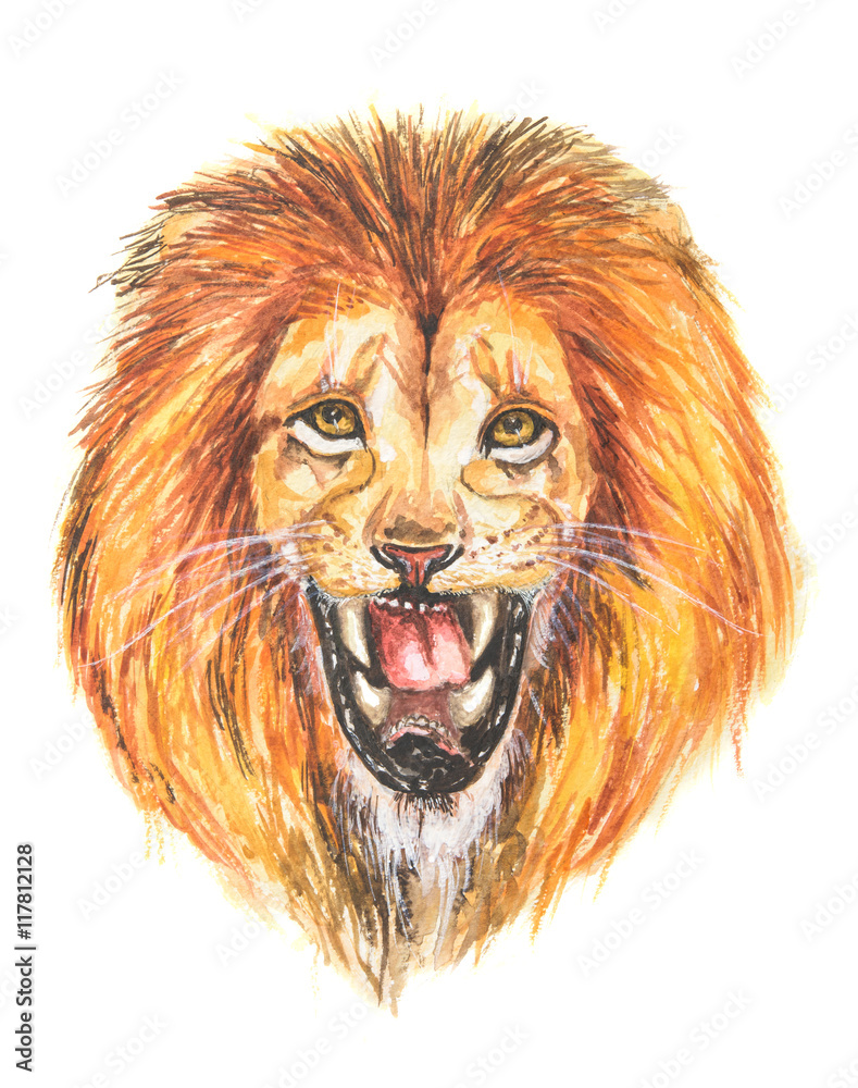 Lion Roaring Front View Drawing
