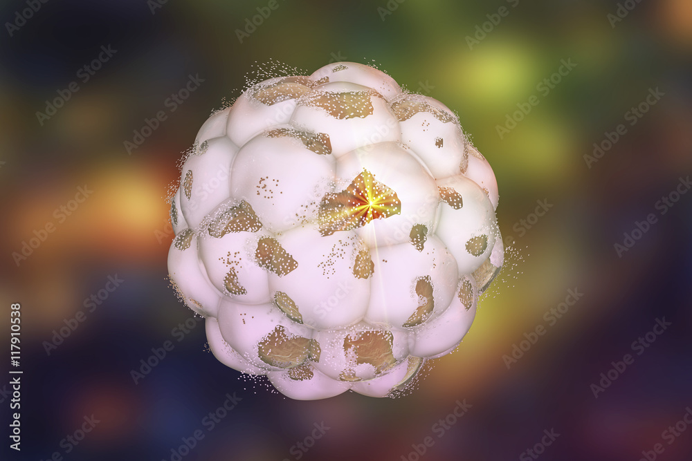 Destruction of a human embryo. 3D illustration which can be used to ...