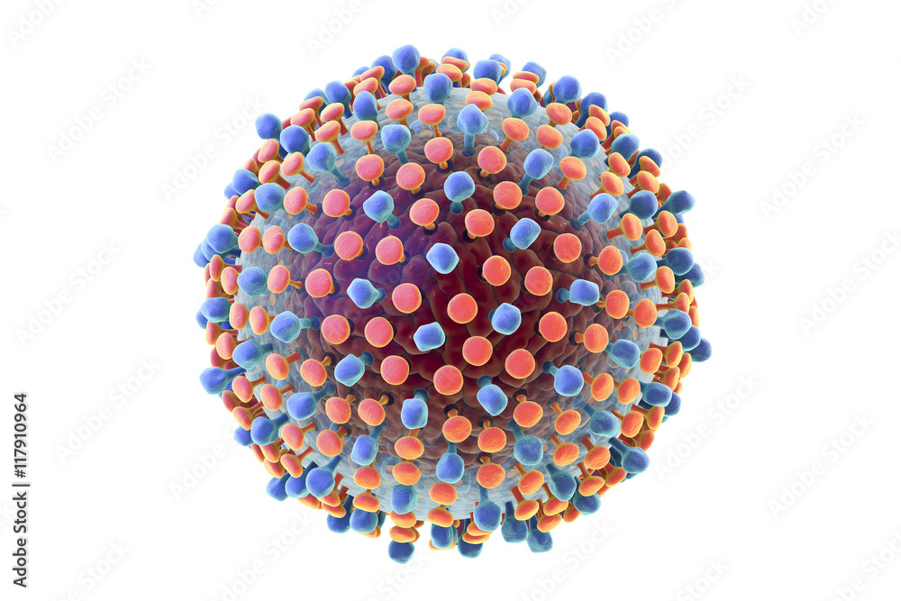 Hepatitis C virus model, 3D illustration. A virus consists of a protein ...