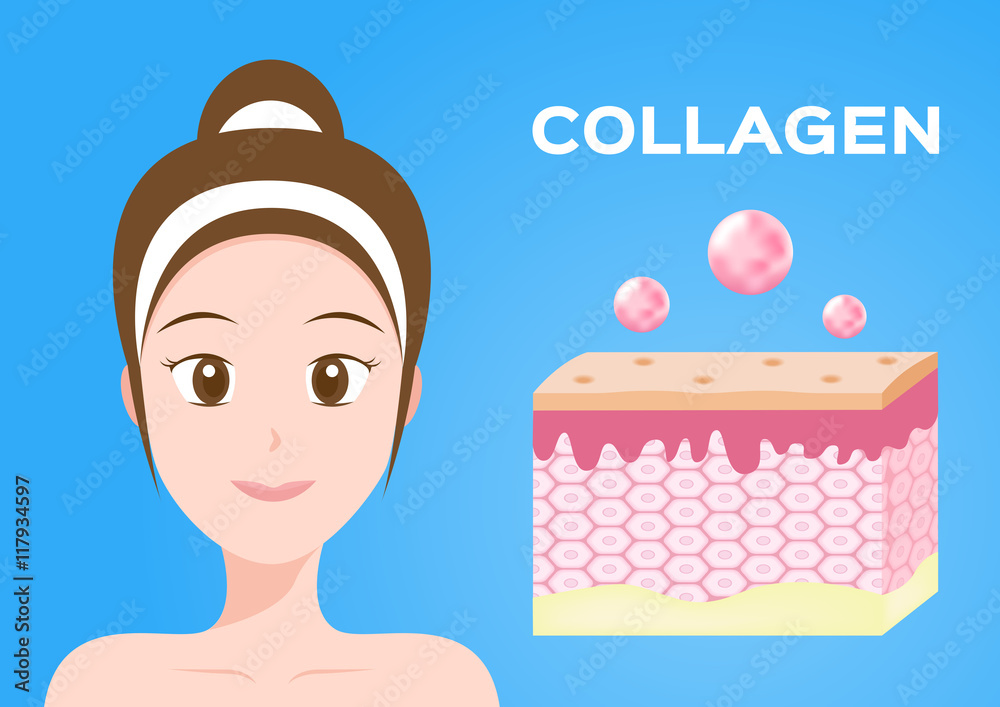 collagen vector icon . collagen with skin and model Stock Vector ...